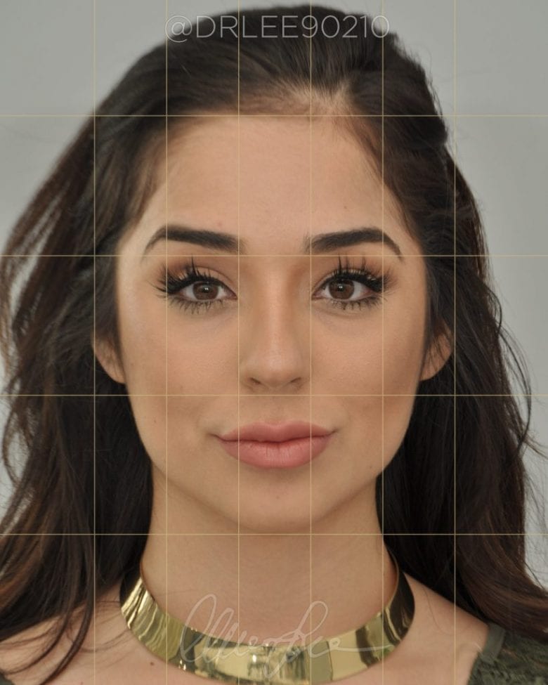 The Mathematically Perfect Face | Charles S. Lee, MD